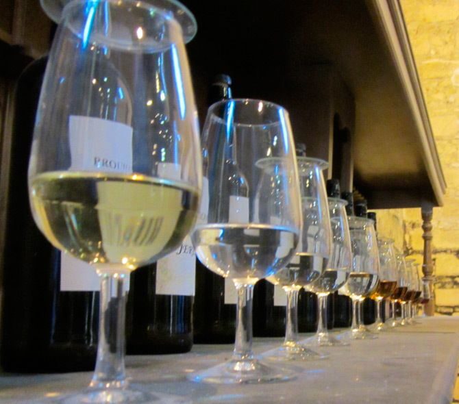 Seville: Jerez, Cadiz Wine Tasting with Optional Horse Show - Analytical Look at the Price and Value