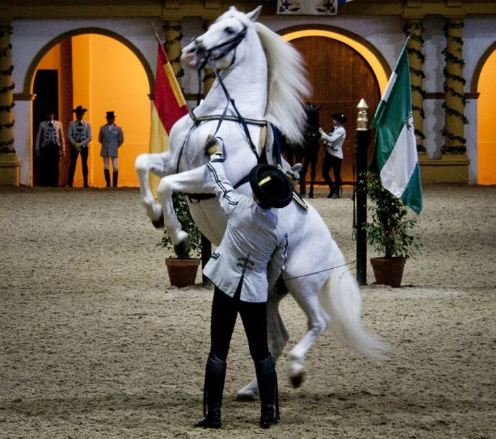 Seville: Jerez, Cadiz Wine Tasting with Optional Horse Show - FAQs