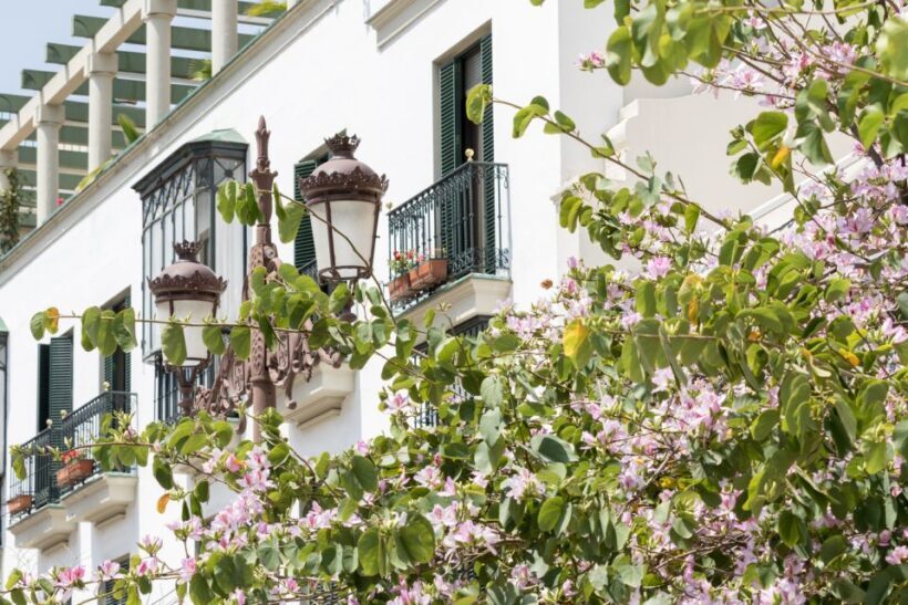 Seville Jewish Quarter walking tour: Santa Cruz District - FAQ