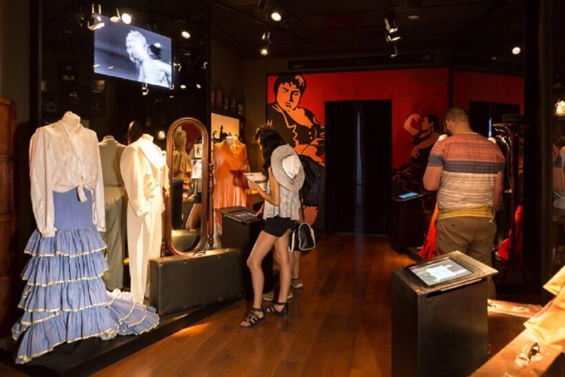 Seville: Museum of Flamenco Dance Admission Ticket - A Close Look at the Experience