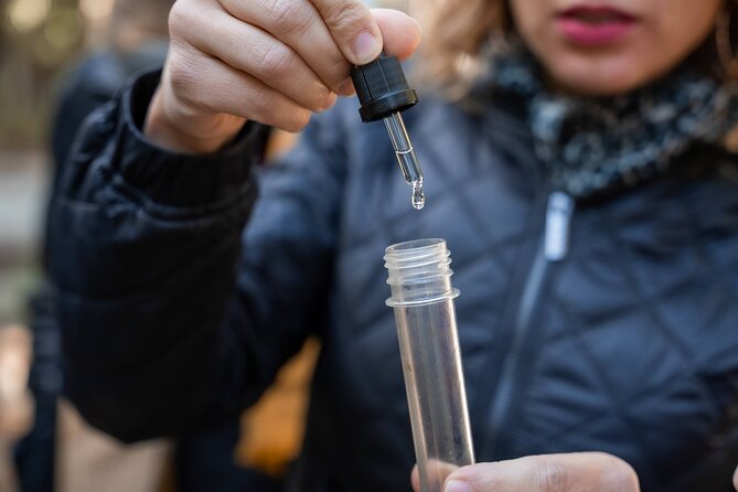 Seville: Outdoor Escape Game - Operation Mindfall - A Closer Look at the Experience