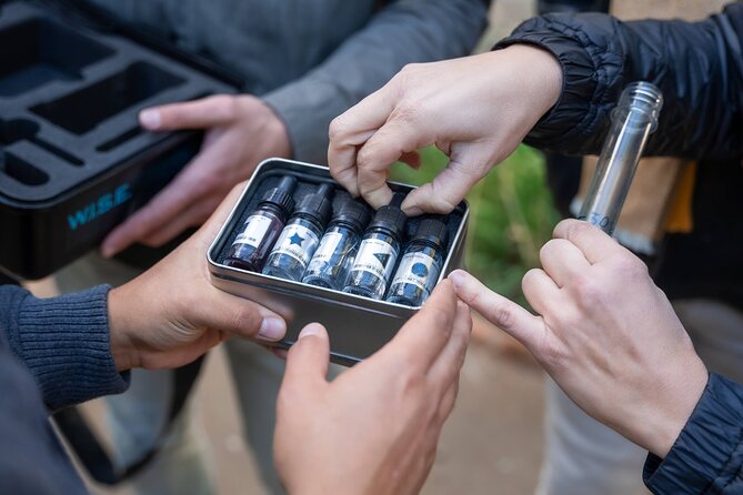 Seville: Outdoor Escape Game - Operation Mindfall - FAQs