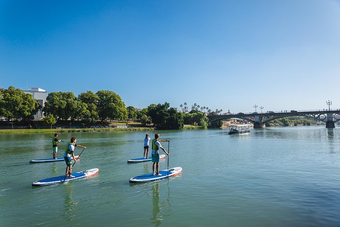 Seville: Paddle Surf Route and Class - Who Will Love This Experience?