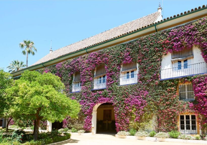 Seville: Palacio de Las Dueñas, La Macarena & Las Setas Tour - Who Will Love This Tour?