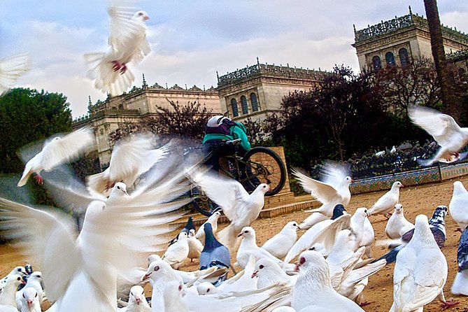 Seville Panoramic Walking Tour - Tour Overview and Highlights