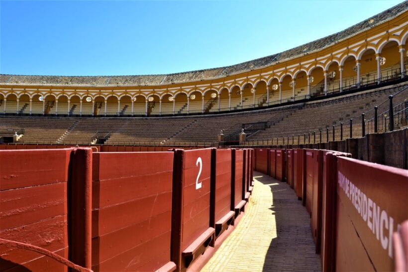 Seville: Plaza de Toros and Barrio Santa Cruz Tour - Key Points