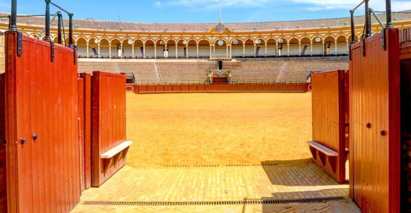 Seville: Plaza de Toros and Museum Guided Tour in Spanish - Key Points