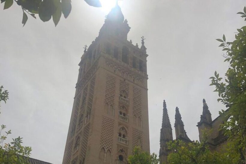 Seville: Private custom tour with a local guide - Why a Private, Custom Tour is a Great Choice