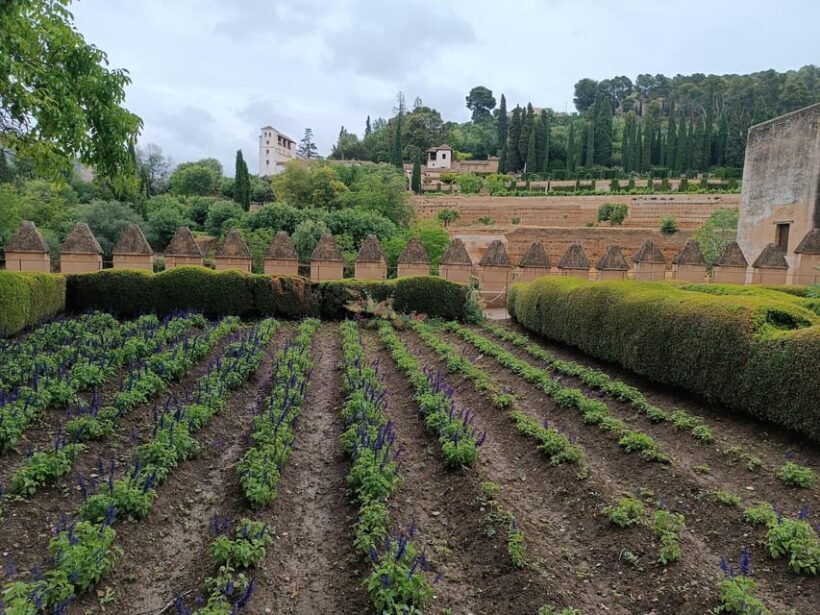 Seville: Private Day Trip to Granada with Alhambra Entry - Lunch and Local Flavors