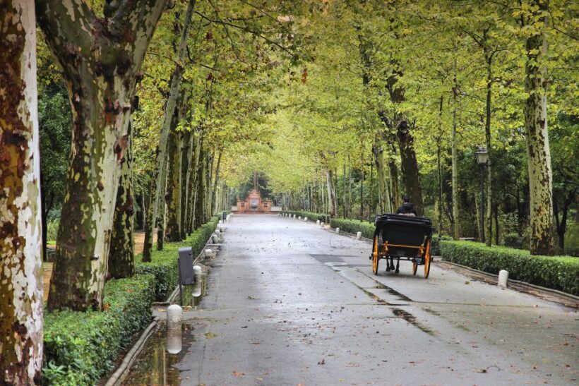 Seville: Private E-Bike City Highlights Tour - What We Love and What to Consider