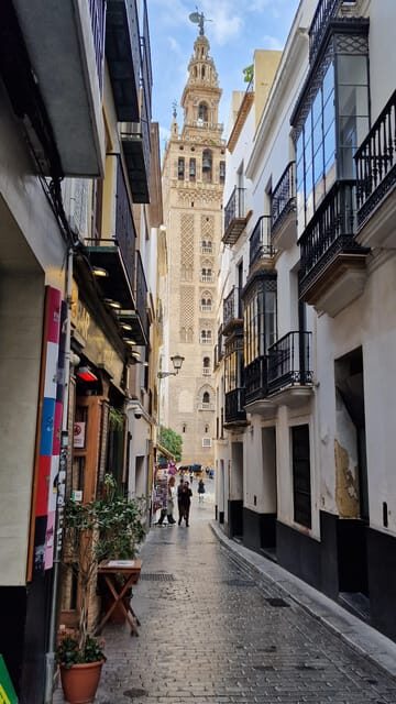 Seville private Tour, The true heart of Andalusia, from Faro - Who This Tour Is Perfect For