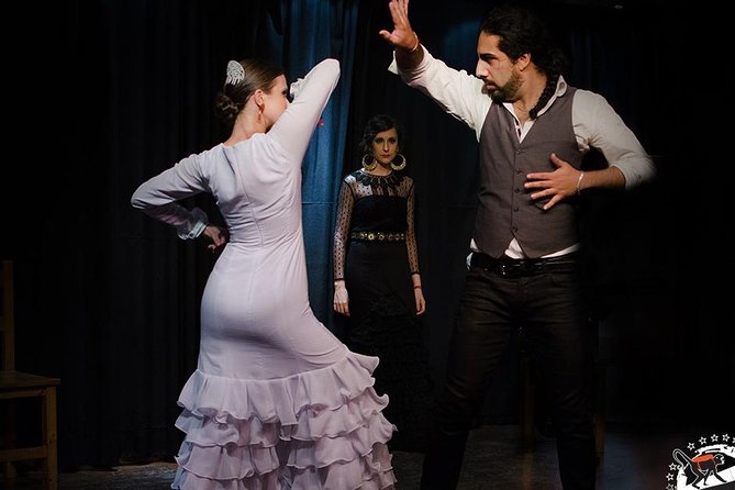 Seville Pure Flamenco Tour - Who Will Love This Tour?