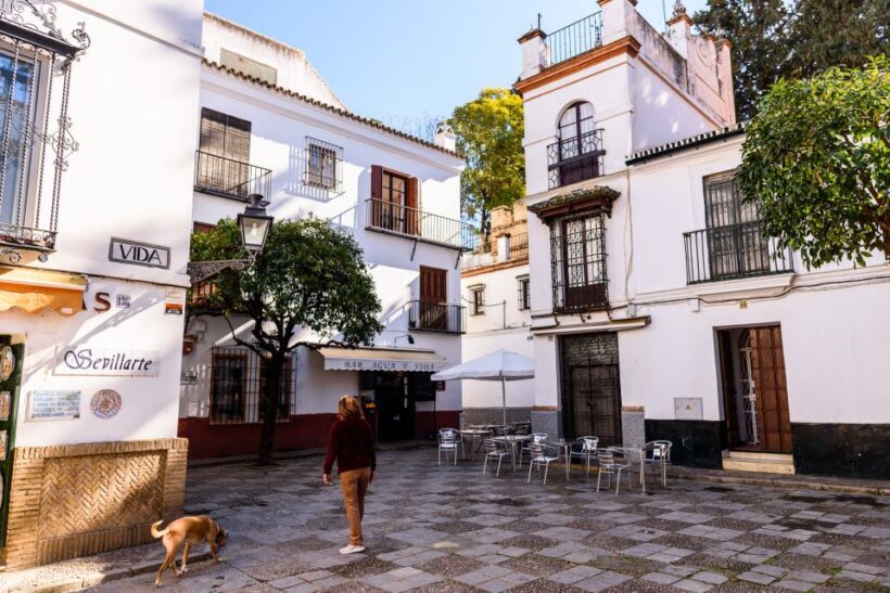 Seville: Santa Cruz Private Tour - Key Points