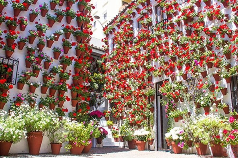 Seville: Tour to Cordoba and Mosque Cathedral - The Itinerary in Detail: What to Expect on this Day Trip to Cordoba