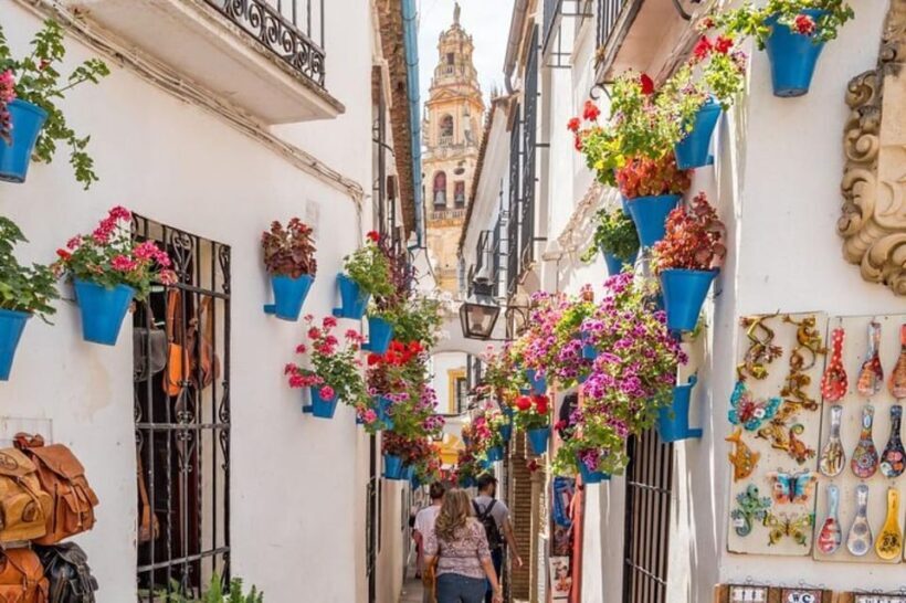 Seville: Tour to Cordoba and Mosque Cathedral - Who Is This Tour Best For?
