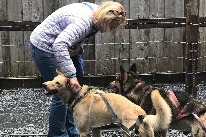 Seward and Kenai Fjords National Park Guided Tour With Lunch - What to Expect