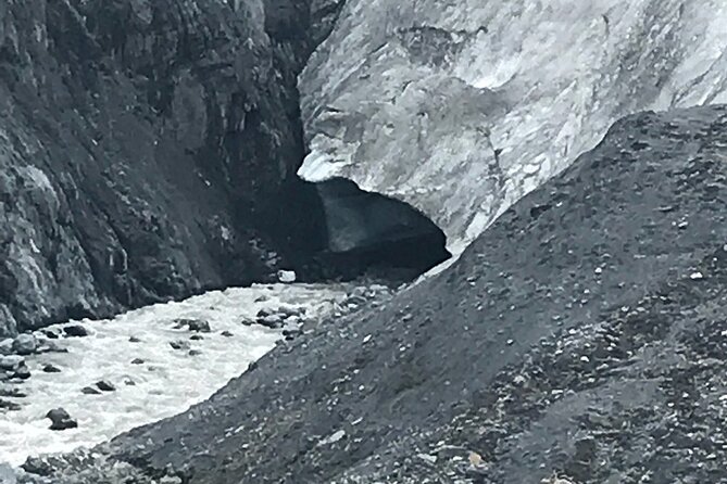 Seward and Kenai Fjords National Park Guided Tour With Lunch - The Thrill of Dog Sledding