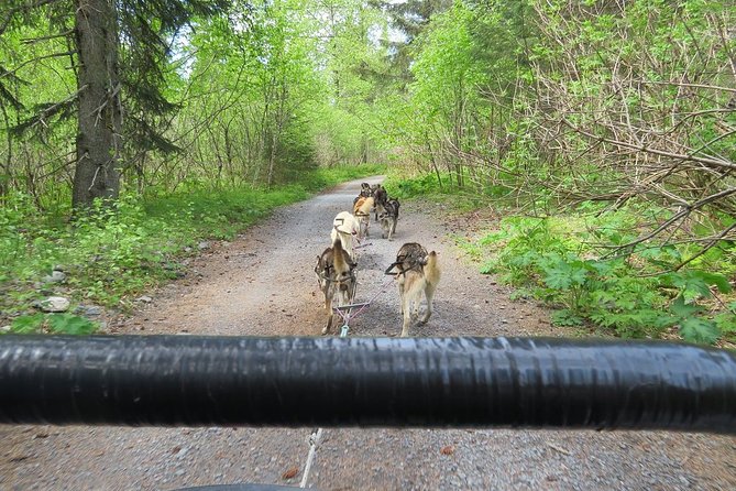 Seward and Kenai Fjords National Park Guided Tour With Lunch - Local Cuisine and Dining Experience