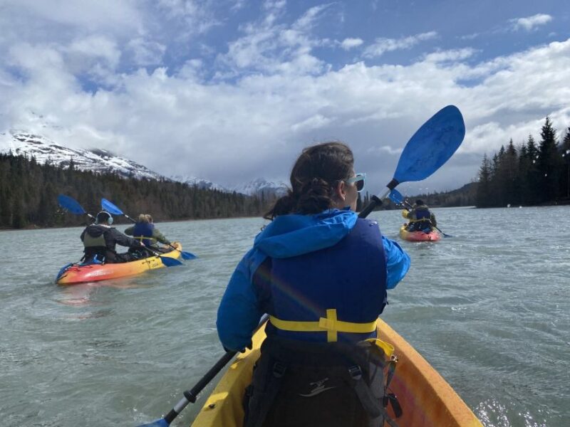 Seward Area Glacial Lake Kayaking Tour 1.5 hr from Anchorage - The Sum Up