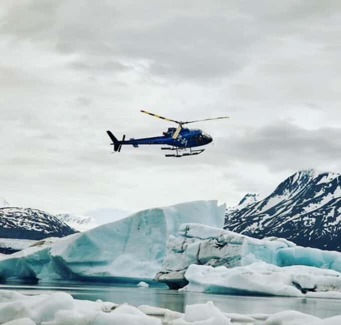 Seward: Bear Glacier Helicopter Tour with Beach Landing - Wildlife and Scenic Opportunities