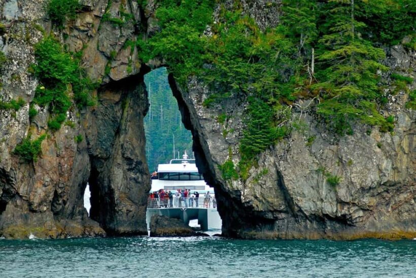 Seward: Captain's Choice Kenai Fjords National Park Tour - What the Tour Offers and Why It Matters