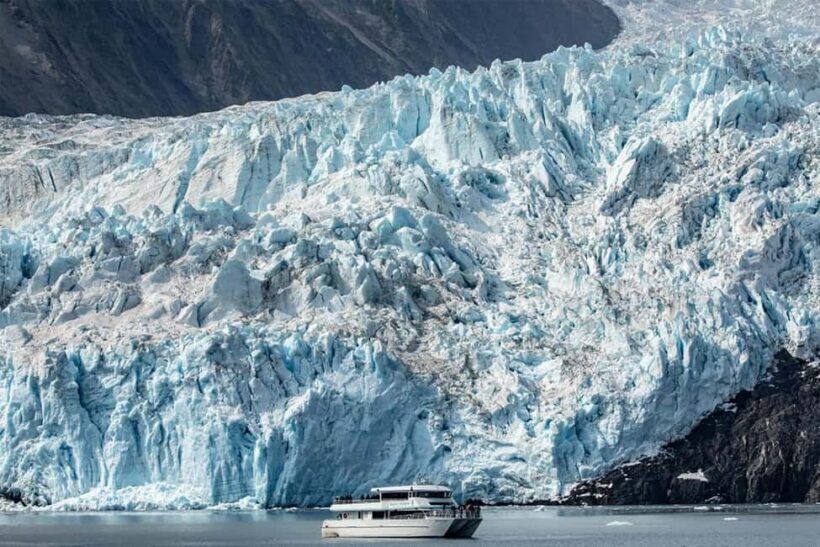 Seward: Captain's Choice Kenai Fjords National Park Tour - Who Should Consider This Tour