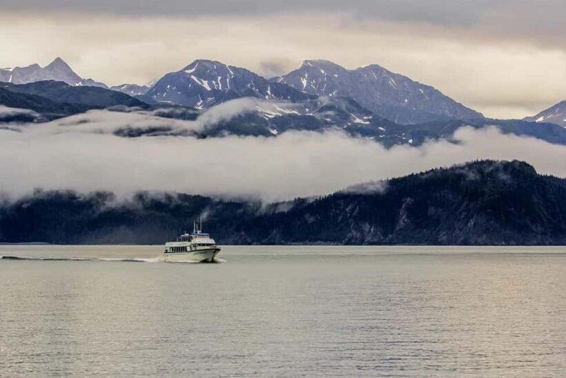 Seward: Captain's Choice Kenai Fjords National Park Tour - The Sum Up