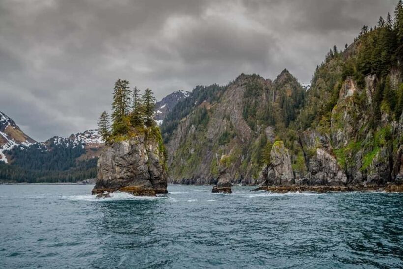 Seward: Captain's Choice Kenai Fjords National Park Tour - FAQ