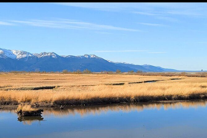 Seward Highway: A Self Guided Drive of Alaska's Historic Road - Why Choose This Tour?
