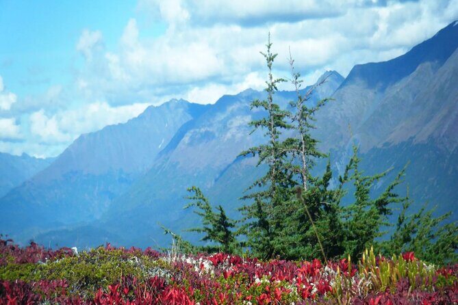 Seward Highway: A Self Guided Drive of Alaska's Historic Road - The Sum Up