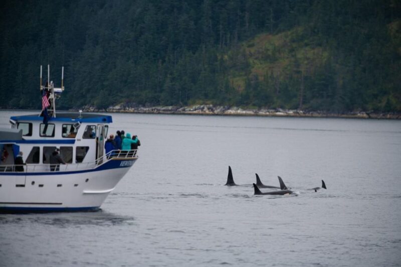 Seward: Kenai Fjords National Park Extended Cruise - Final Thoughts: Who Is This Tour For?