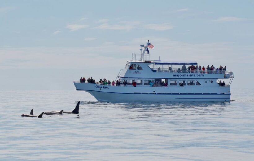 Seward: Resurrection Bay Orca Quest Cruise - Key Points