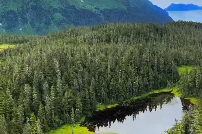 Seward Scenic 30 min Flight - An In-Depth Exploration of the Experience
