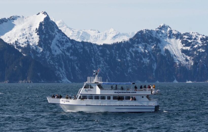 Seward: Spring Wildlife Guided Cruise - An In-Depth Look at the Seward Wildlife Cruise Experience