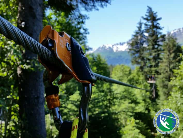 Seward: Stoney Creek Canopy Tour with Zipline - The Itinerary and What It’s Like