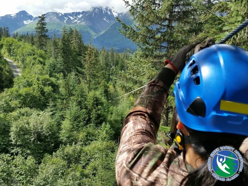 Seward: Stoney Creek Canopy Tour with Zipline - Who Should Consider This Tour?