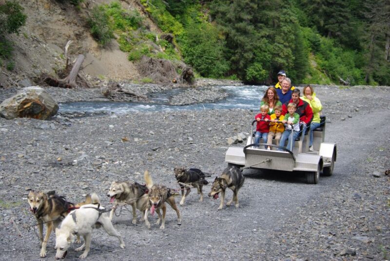 Seward: Summer Dog Sled Ride and Seavey Estate Tour - Practical Details and Tips