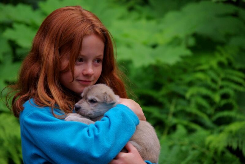 Seward: Summer Dog Sled Ride and Seavey Estate Tour - Authentic Reviews Highlighting the Experience