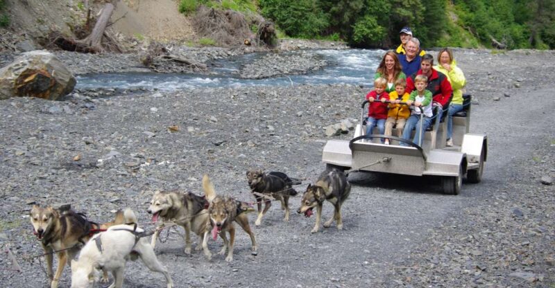 Seward: Summer Dog Sled Ride and Seavey Estate Tour - Who Will Love This Tour?