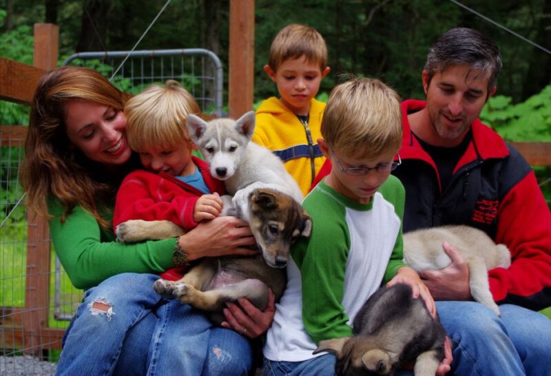 Seward: Summer Dog Sled Ride and Seavey Estate Tour - Frequently Asked Questions
