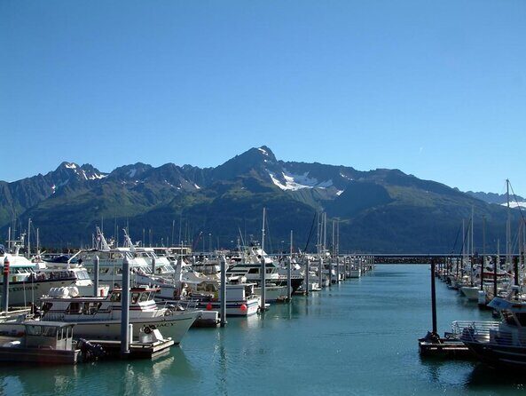 Seward to Anchorage Cruise Transfer and Private Tour - Introduction