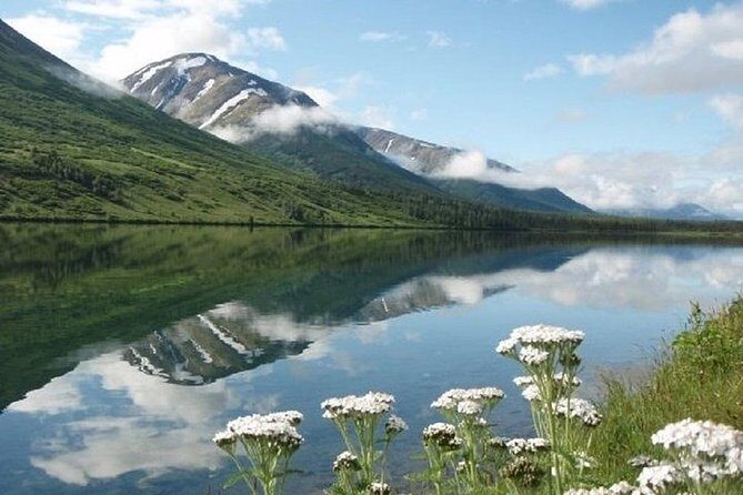 Seward to Anchorage Cruise Transfer and Private Tour - Transportation and Comfort