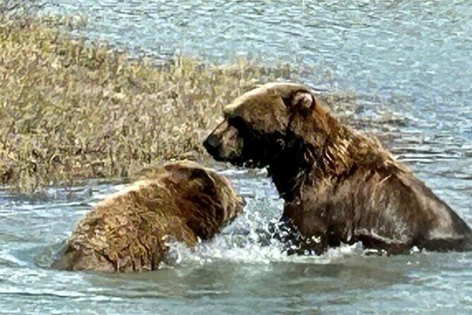 Seward to Anchorage Full Day Transit Tour with Port Pickup - Who Will Love This Tour?