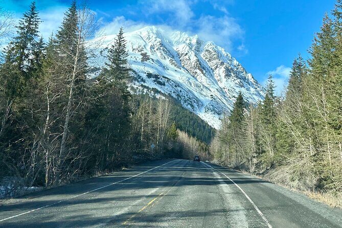 Seward to Anchorage Full Day Transit Tour with Port Pickup - Final Thoughts