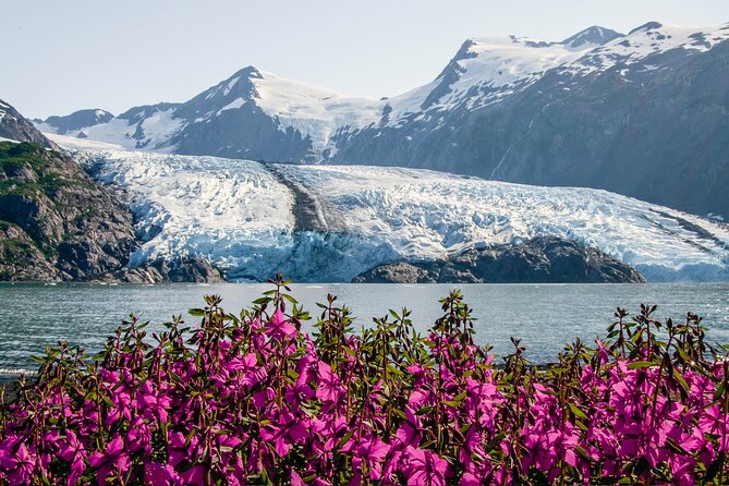 Seward to Anchorage- Post Cruise Curated Wildlife Tour +Transfer - Accessibility and Participation