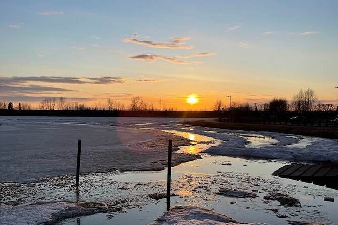 Seward to Anchorage- Post Cruise Curated Wildlife Tour +Transfer - Recommendations for Future Travelers