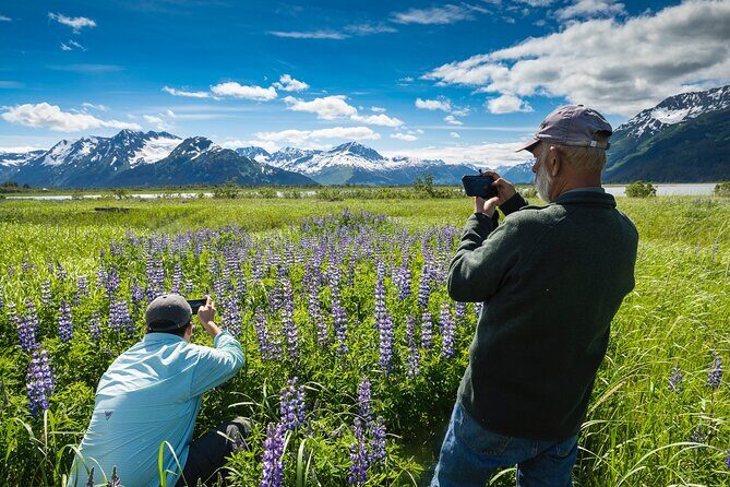 Seward to Anchorage Scenic Transfer Photo Tour - Final Thoughts