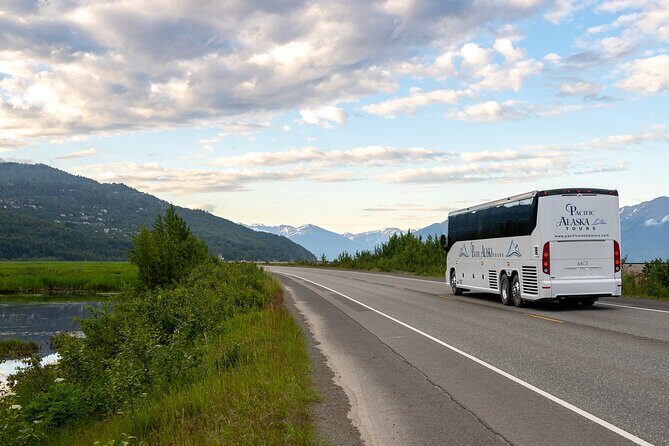 Seward to Anchorage Wildlife Adventure - The Itinerary: A Closer Look