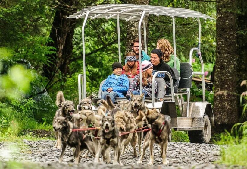 Seward: Turning Heads Kennel Tour & Dog Sled Ride - Who Should Consider This Tour?