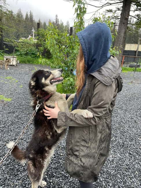 Seward: Turning Heads Kennel Tour & Dog Sled Ride - FAQ